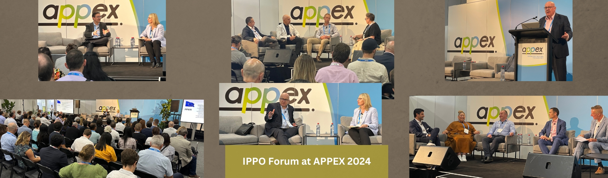 APPEX REPORT: IPPO Forum Speakers Stress Need for Action - IPPO